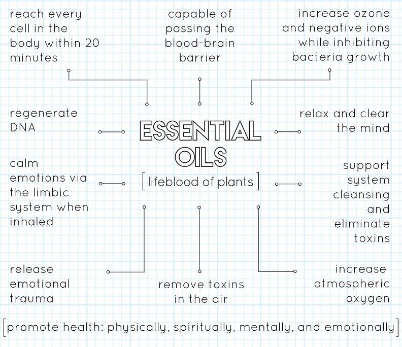 What Are Essential Oils (+ How They Work) - A Pinch of Healthy